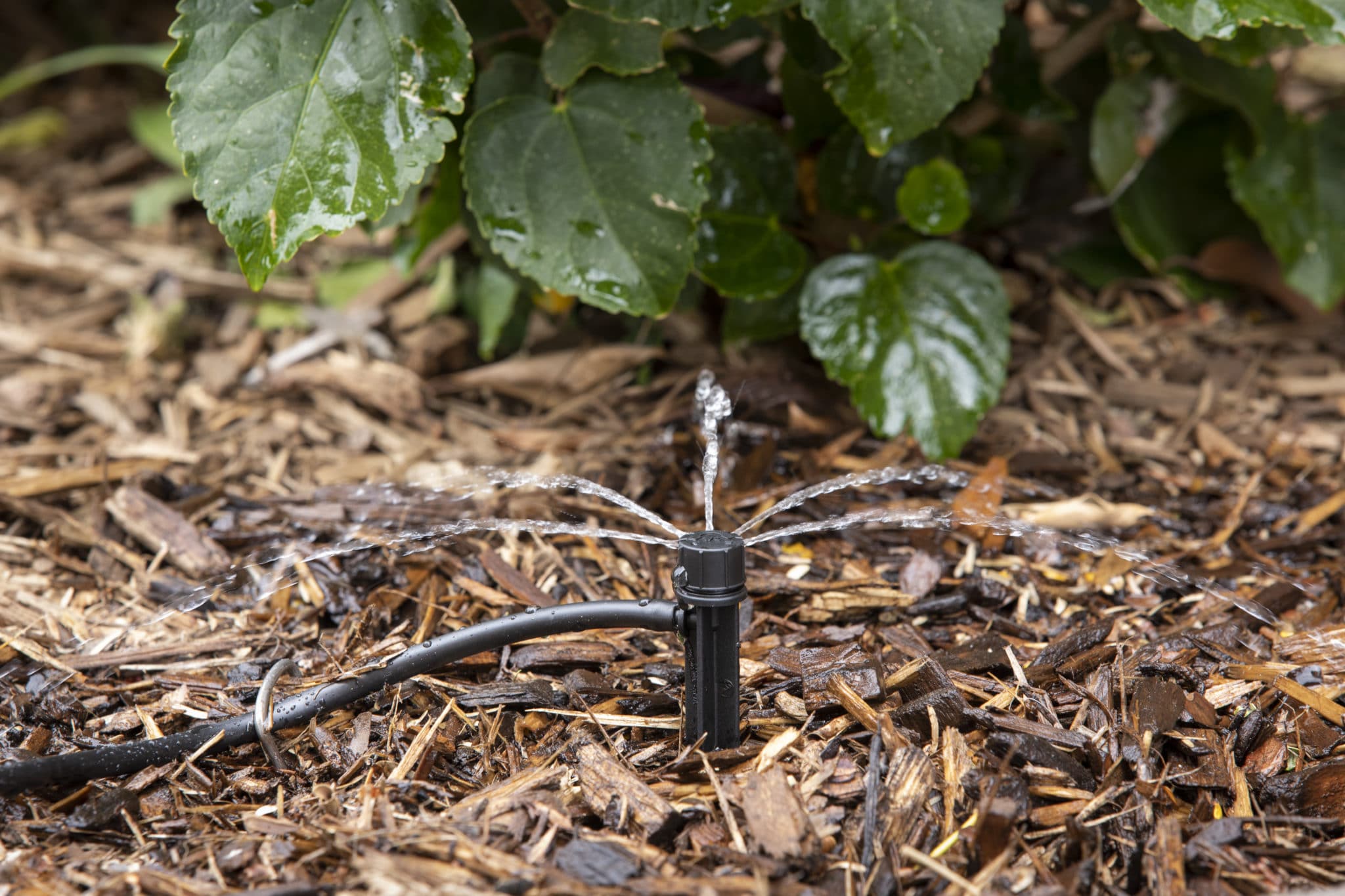 180 degree 0 – 10GPH Adjustable Bubbler with Stake - Landscape Products ...