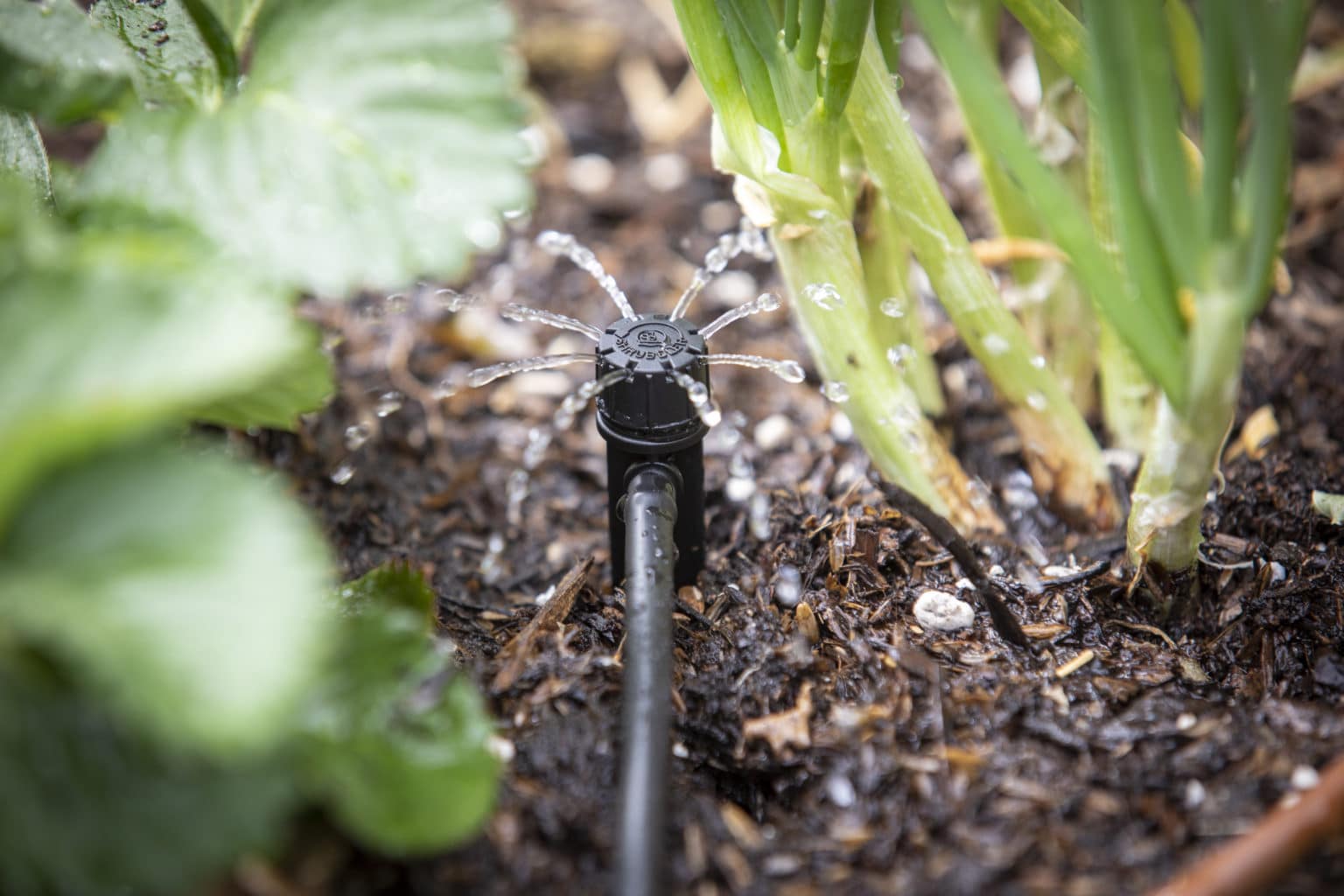 360 degree Adjustable Bubbler with Stake - Landscape Products Inc.