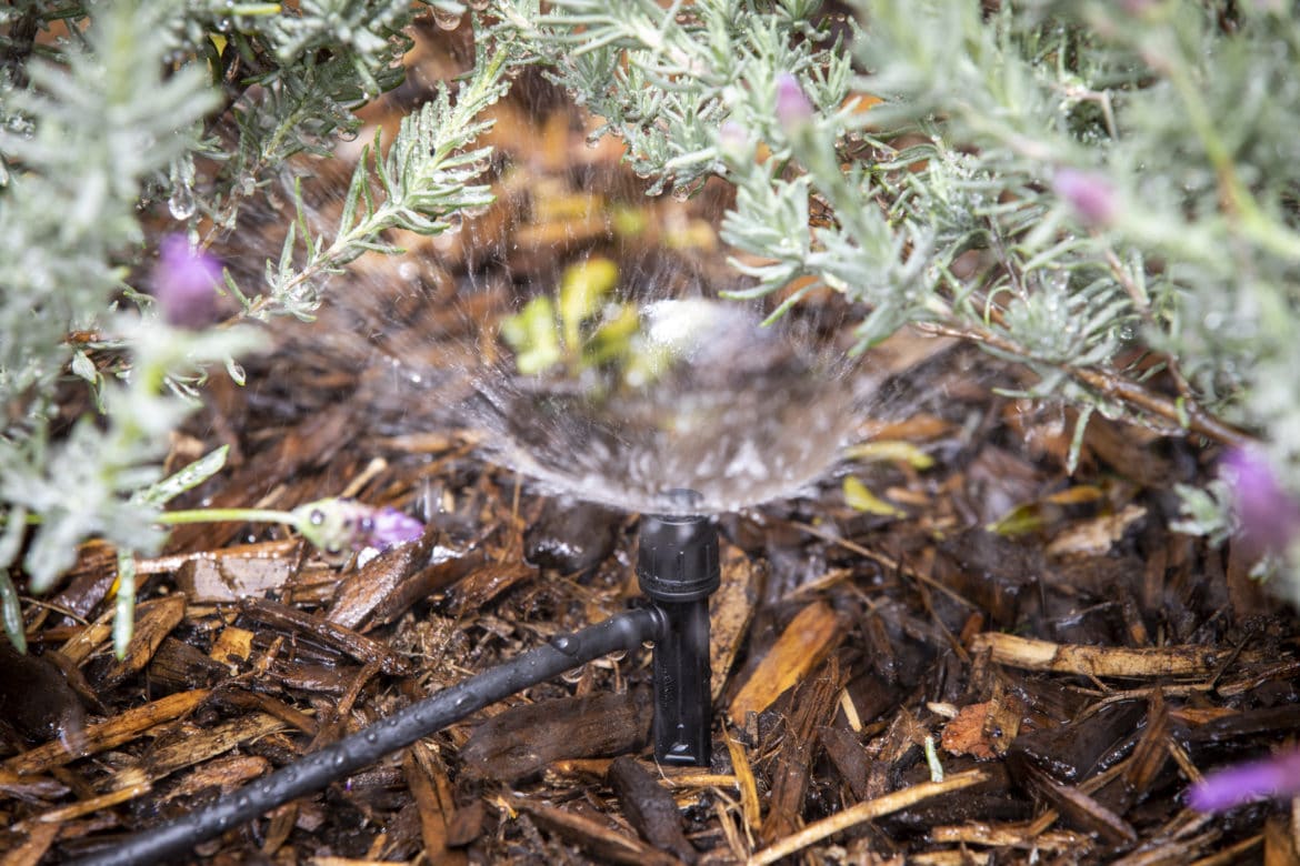 360 degree Adjustable Jet Spray with Stake - Landscape Products Inc.