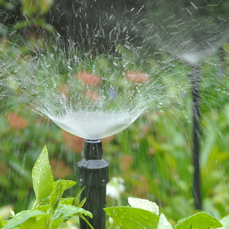 Spectrum 360 Adjustable Jet 1/2 Inch Female Pipe Thread - Landscape ...